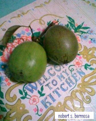 E2=Educational & Entertainment Hub: The Most Popular Fruits in the ...