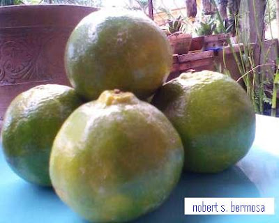 E2=Educational & Entertainment Hub: The Most Popular Fruits in the ...