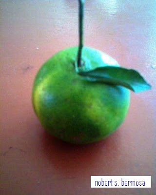 E2=Educational & Entertainment Hub: The Most Popular Fruits in the ...