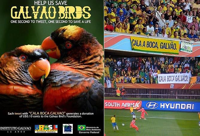 Cala a boca Galvão, seu merda! - Blog de Rocha