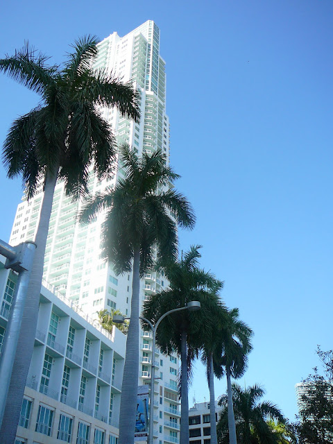 FOCAL POINT STYLING: PHOTOGRAPHING WHERE I LIVE: MIAMI