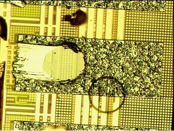 *NeW LiFE*: Ball Shear Test & Failure Mode