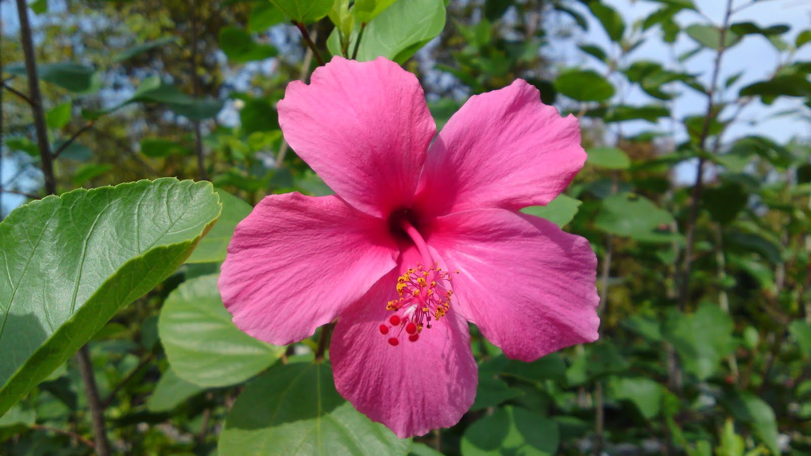 Jottings of Xnuripilot: Keindahan CiptaanNya