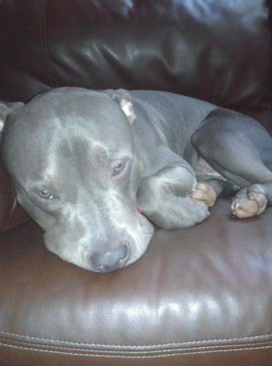 She Flies With Her Own Wings...