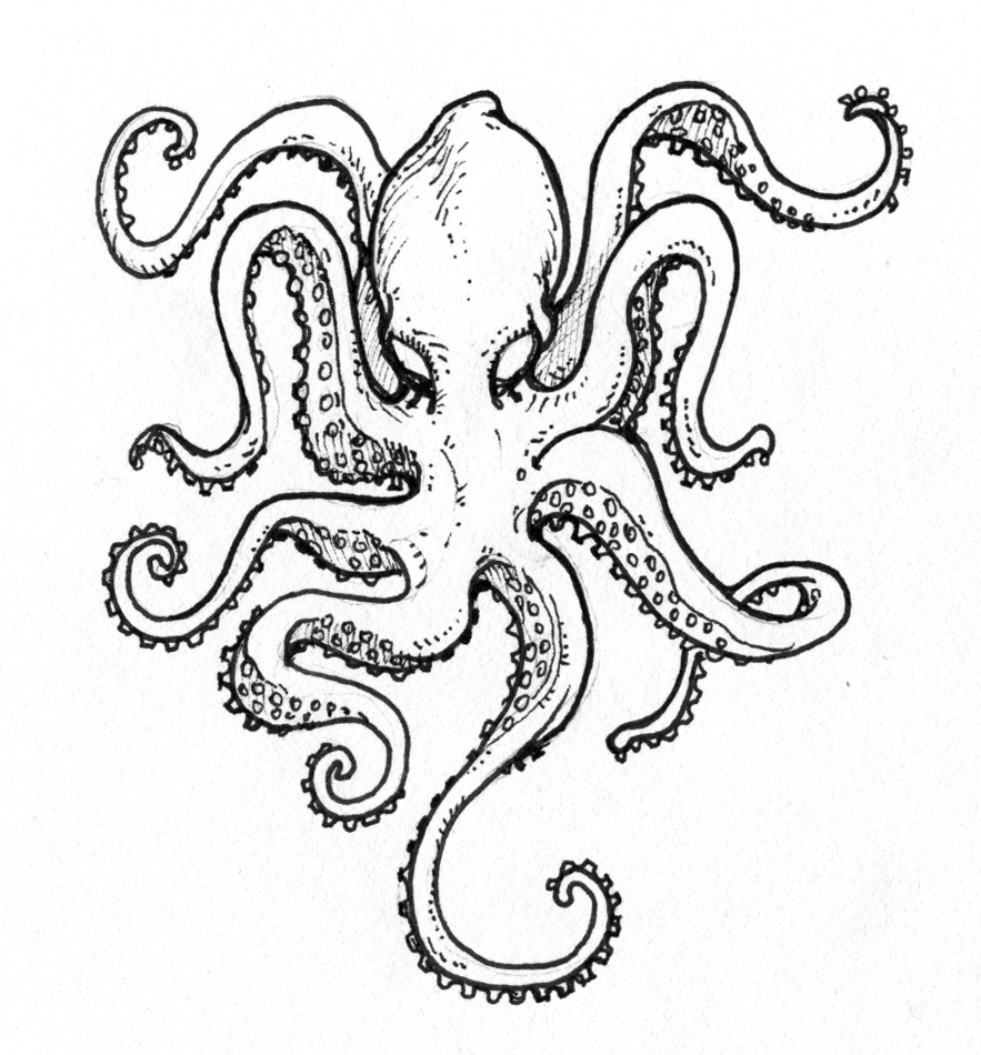 allow me to illustrate: Octopus