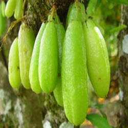 Trendy Entertainment News: Sweet Kamias