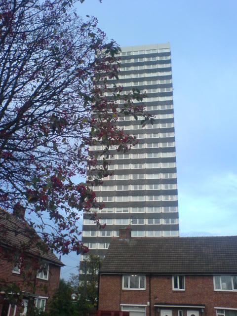 Mint Custard: I Never Said I Was Deep