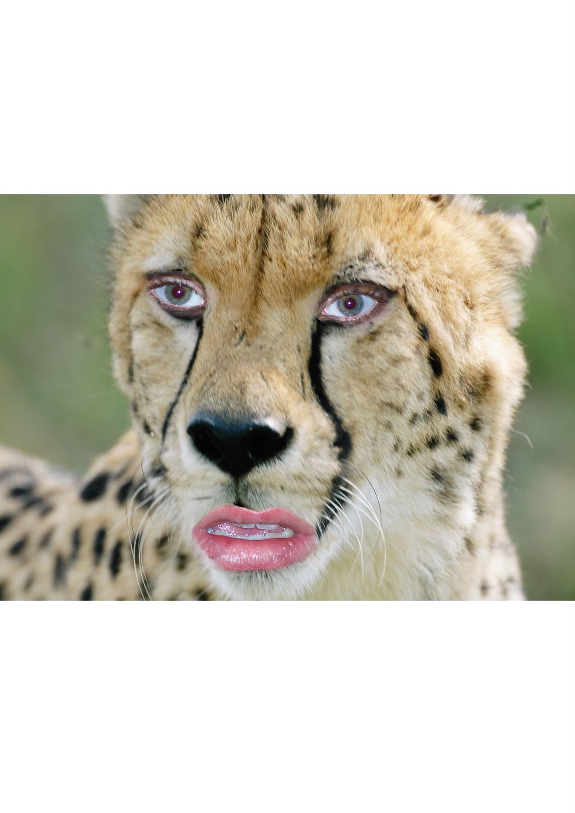 Digital Graphics: September 2010