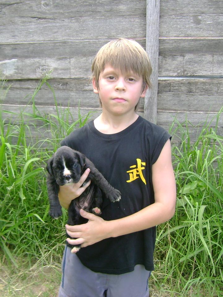 MBARETÉ BOXER: Cachorros Homero /Allfen