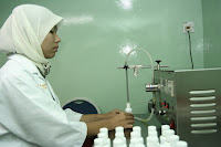 INDUSTRI KECIL DAN SEDERHANA: Apa itu IKS?