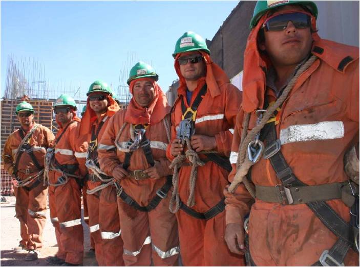 BRIGADAS DE EMERGENCIA: JEFE DE BRIGADA