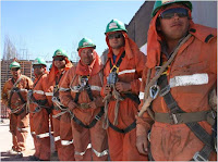 BRIGADAS DE EMERGENCIA: JEFE DE BRIGADA