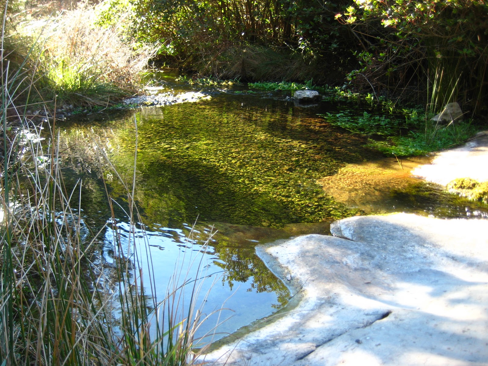 TROTASENDES BENICALAP: BEJIS, NACIMIENTO DEL RIO PALANCIA Y SUBIDA AL ...