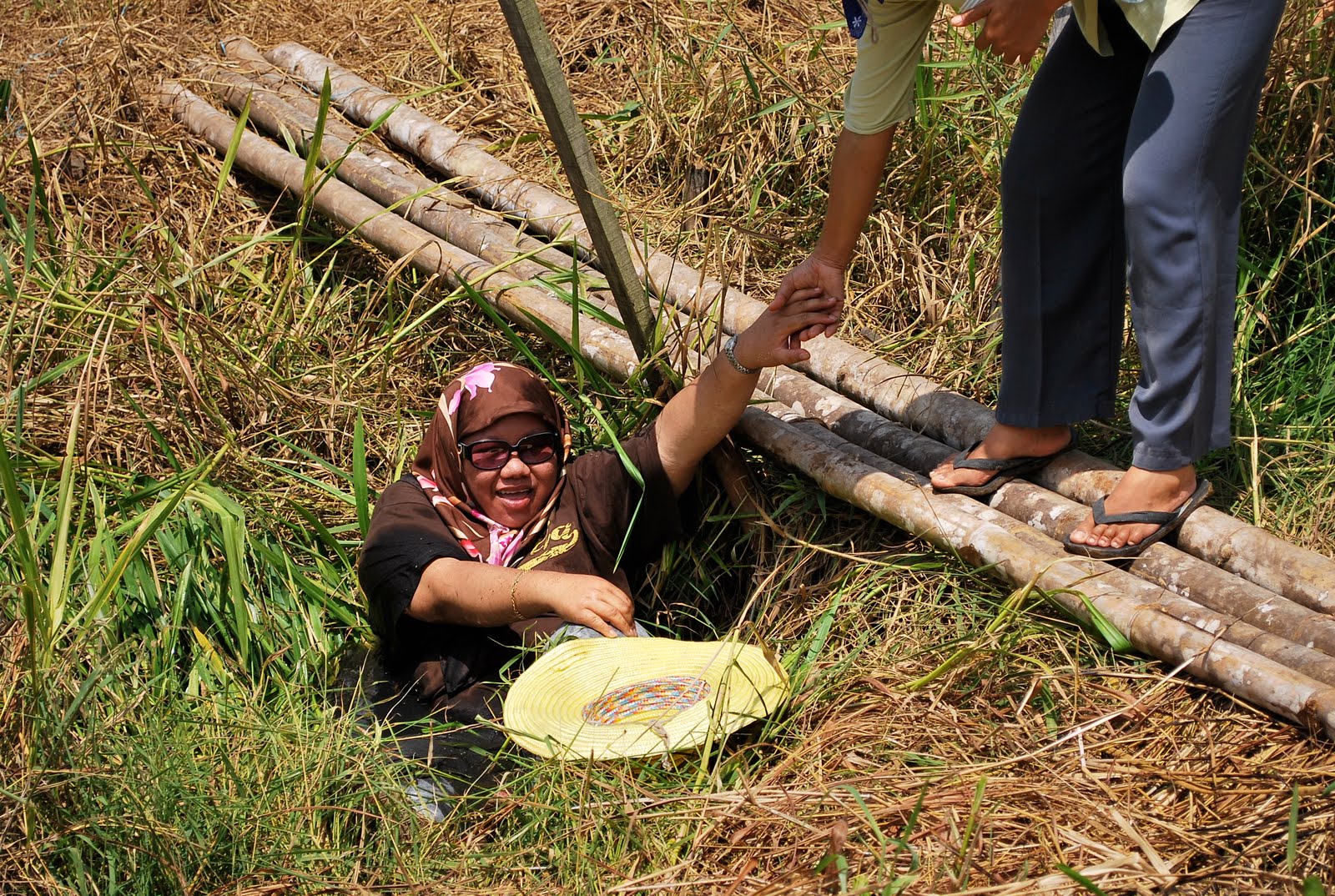 IskandarWorld: Tragedi di sawah padi