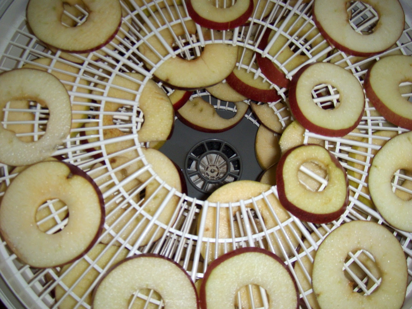 Mombo's Backyard: Dehydrating Apples