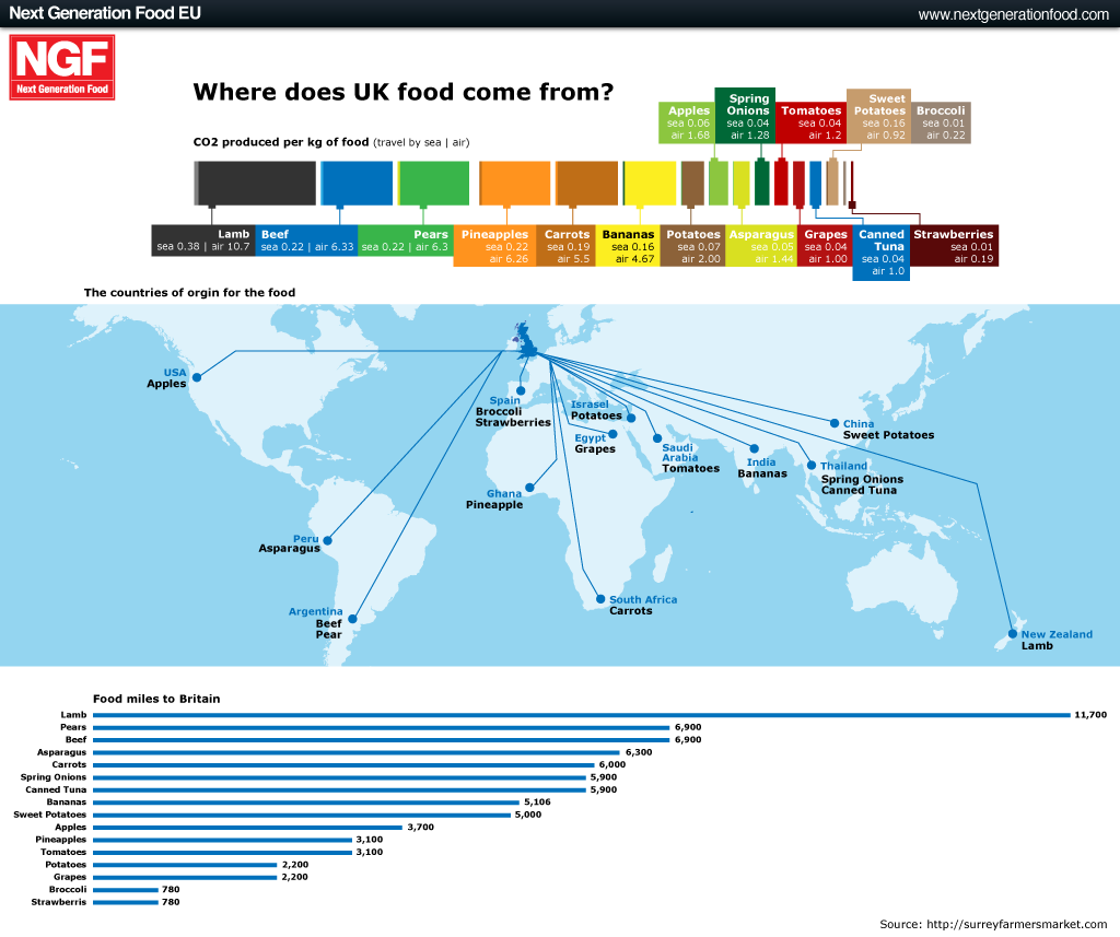 Interdependence: FOOD FOR THE BRAIN....