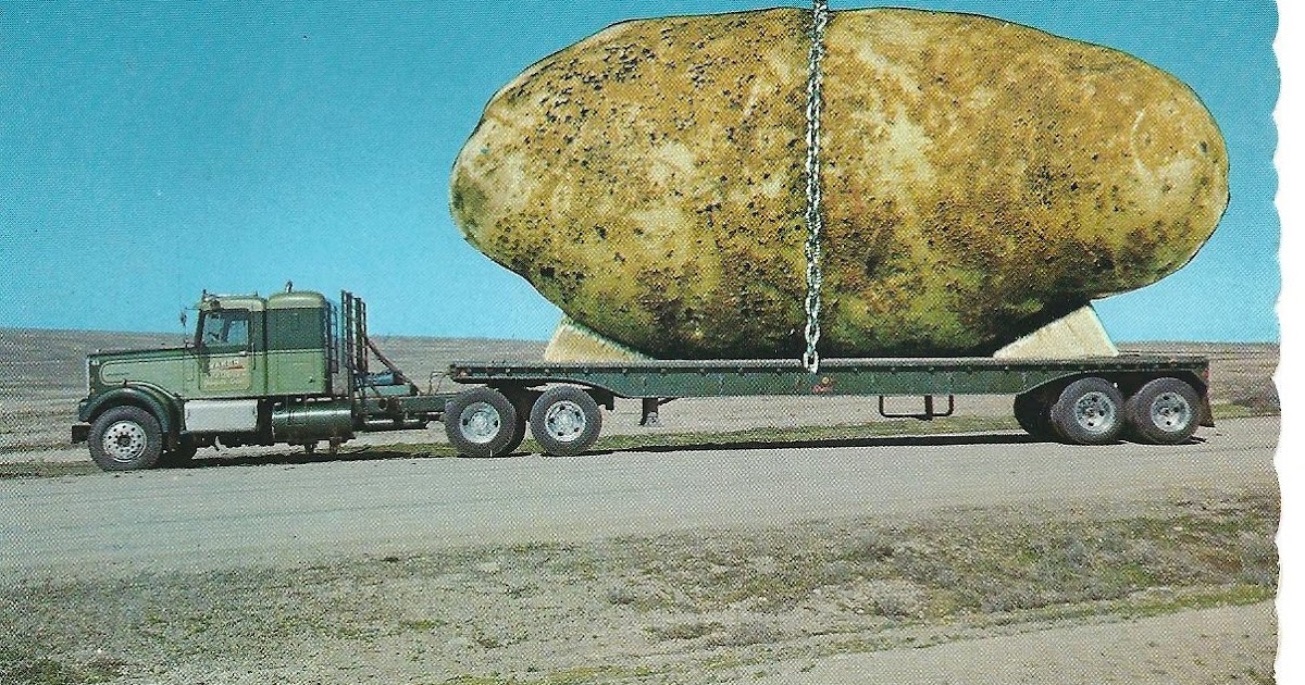 A Plethora of Postcards: A Giant Potato