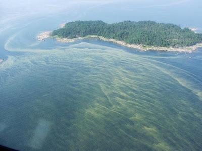 MERI JA EESTIMAA: Rannik ja saared.