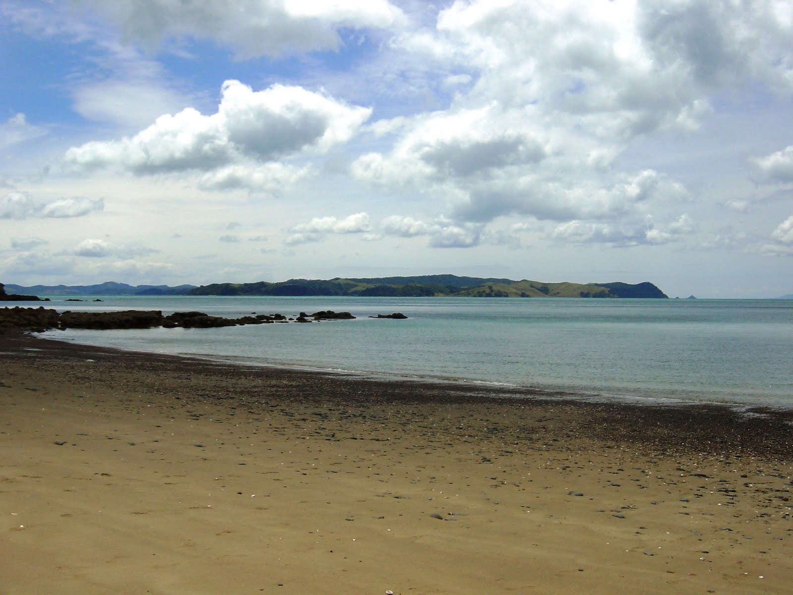 New Zealand: Firth of Thames, Auckland and Beyond