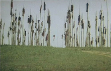 Cinema Raiders: Vlad Tepes