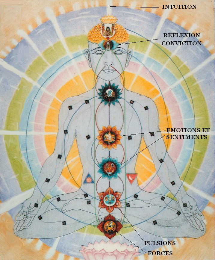 kurma: 238 ALL NEW KURMA NADI