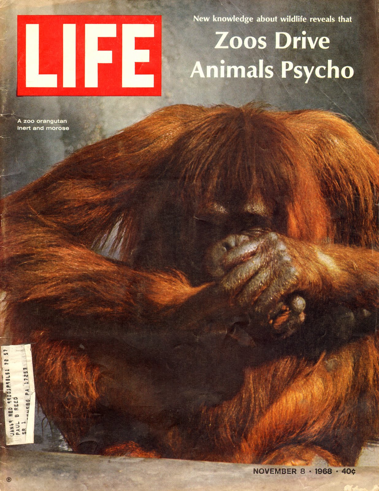 Magazine History: A Collector's Blog: LIFE Magazine Rare Editions