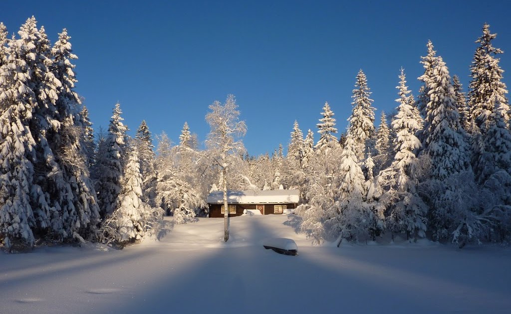 Bjørns verden: Romjul i Lillomarka