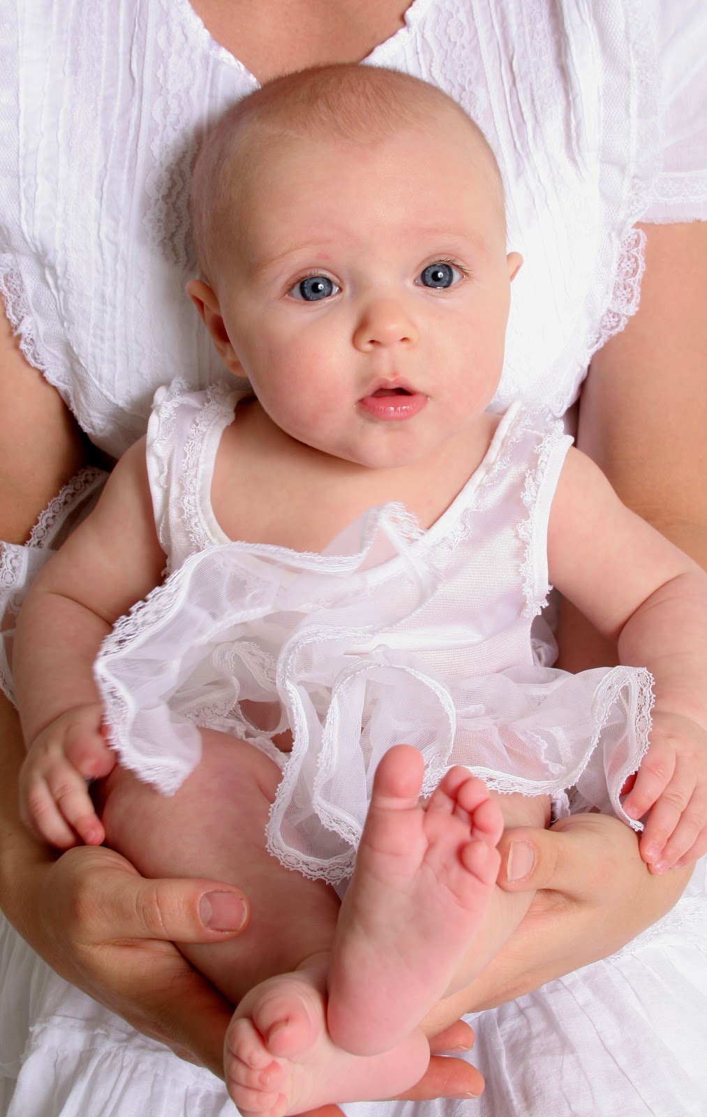 Adventures with Monkeys