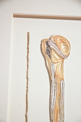 Yakawonis: Quilled bone