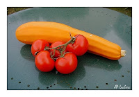 klaxophone: Courgette orange