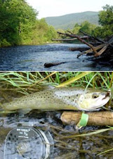 Battenkill River