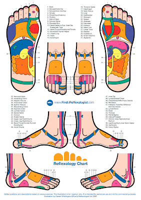 Masaj terapeutic si reflexoterapie: Harta reflexoterapie
