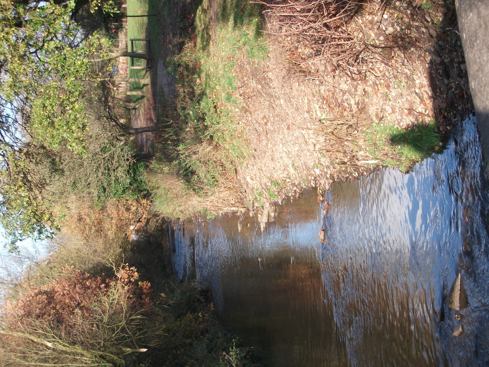 Leanne Muir: November 2010