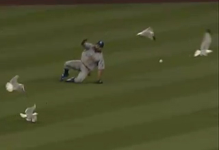 midges – Sully Baseball