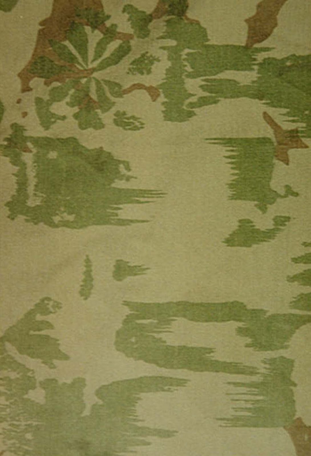 Camouflage: Examples of camouflage