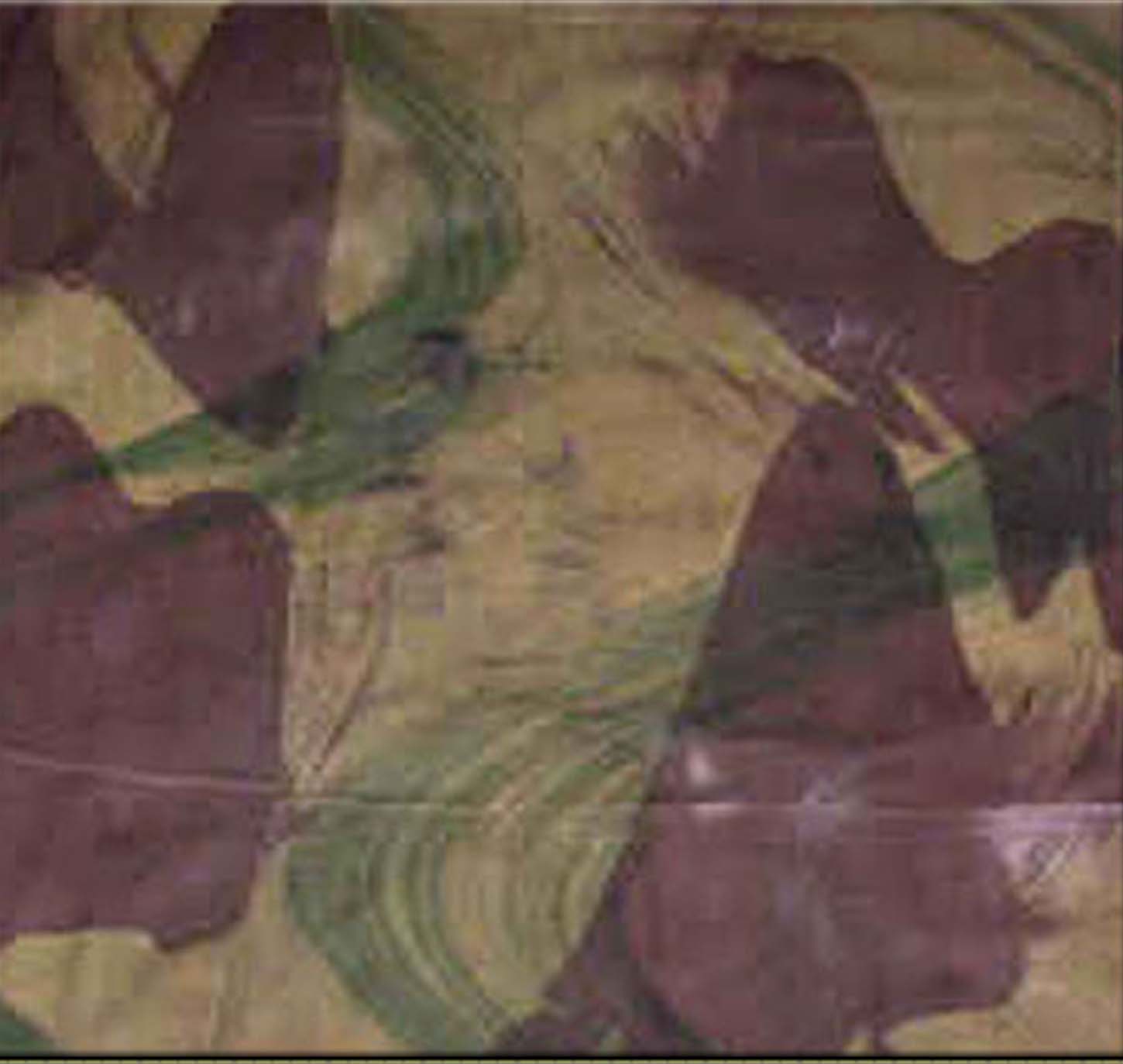 Camouflage: More examples of camouflage