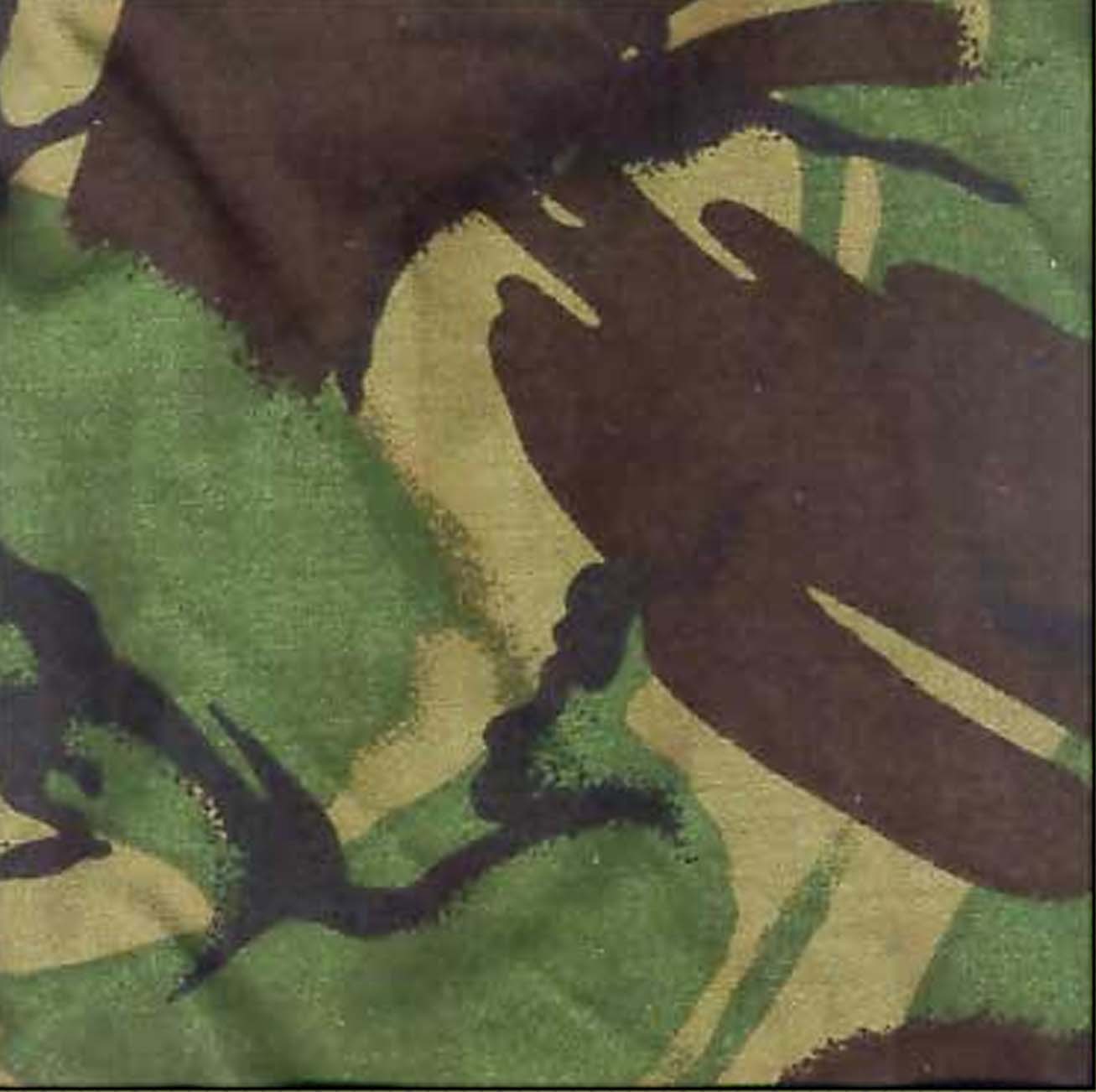 Camouflage: More examples of camouflage