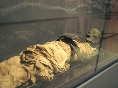 Where In the World Is Ilene?: EGYPT #1: Visiting the Pyramids of Giza