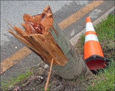 The Occasional CEO: Small Things Considered: Broken Telephone Poles ...