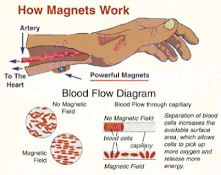 Online Information: MAGNETIC EFFECTS FOR HUMAN BODY