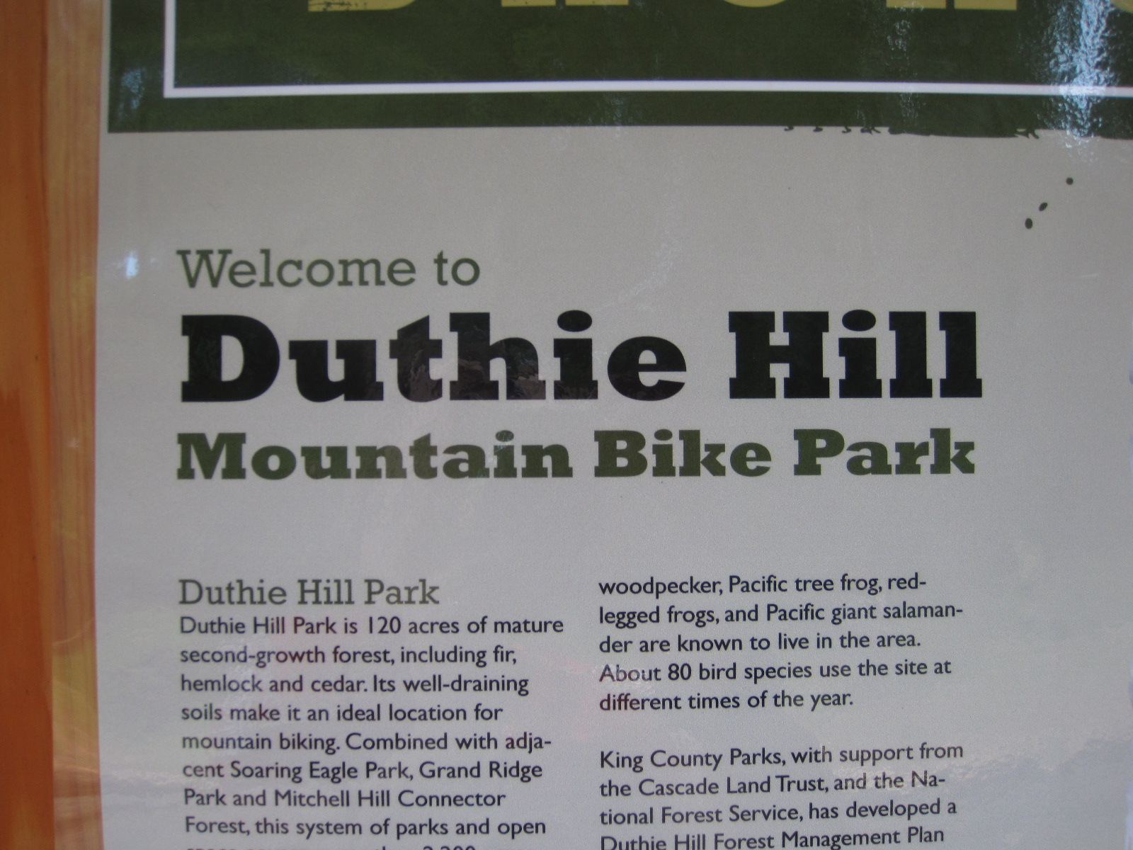 Yo Eddy !!: Duthie Hill Mountain Bike Park