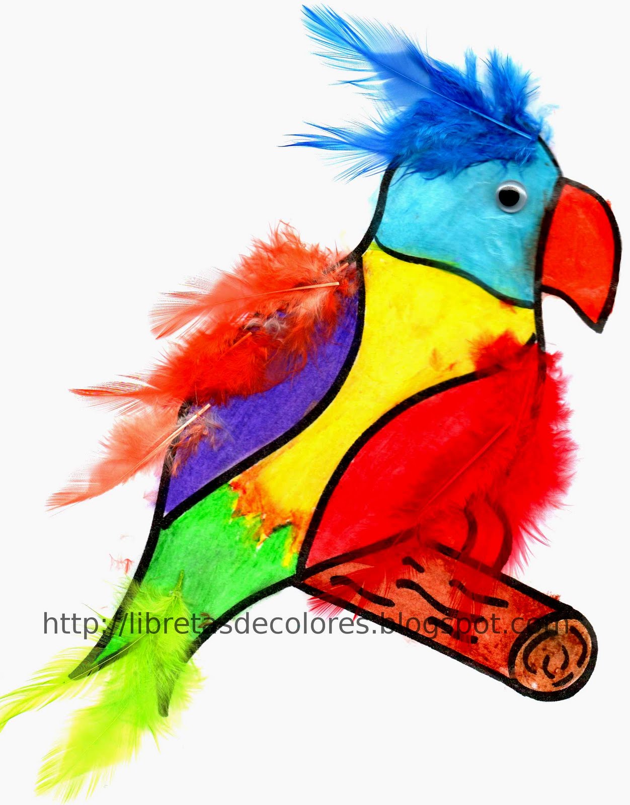 Un loro muy divertido con plumas de colores - Actividades infantil