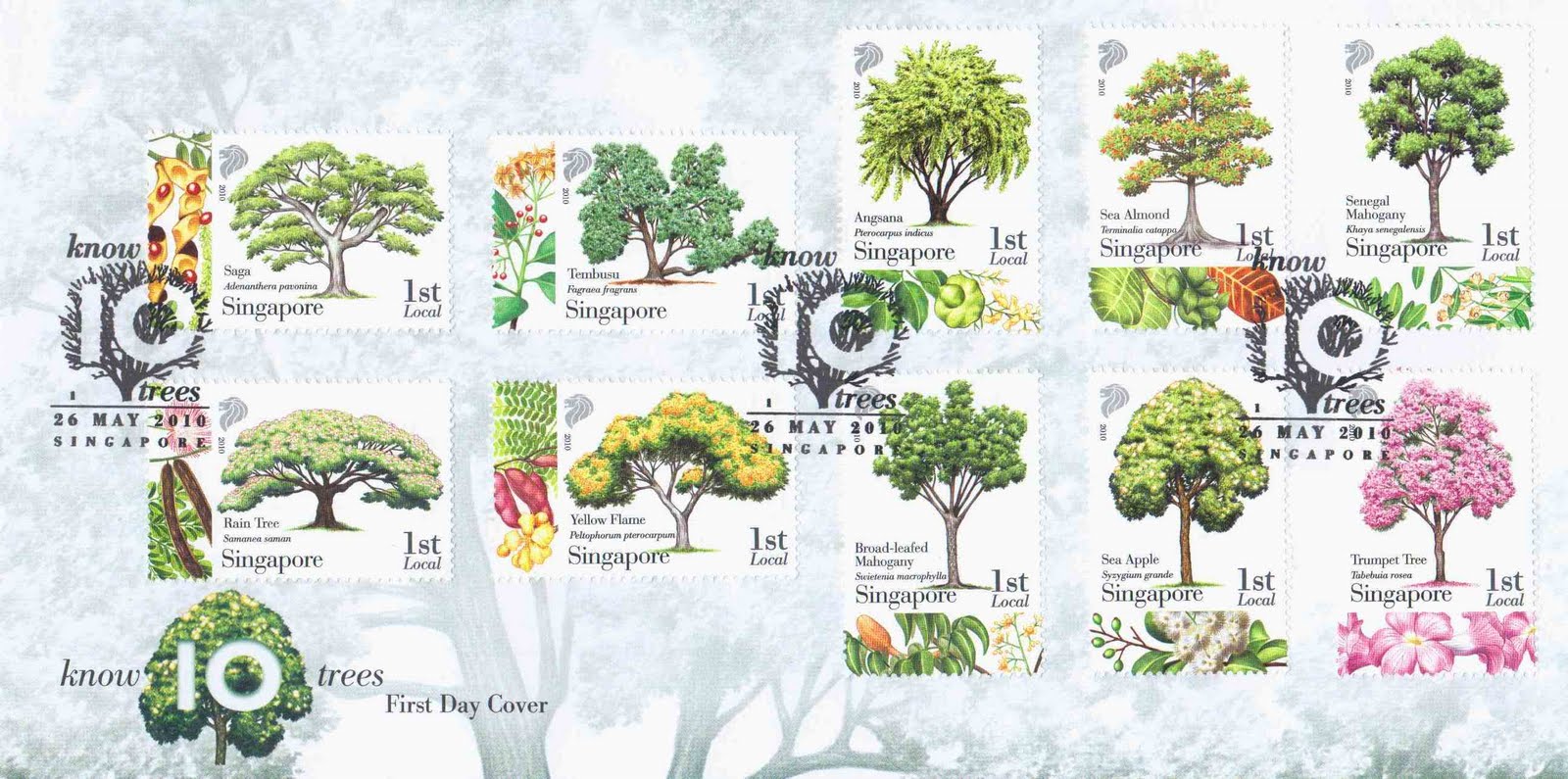 Terence's collections ...: Know 10 Trees