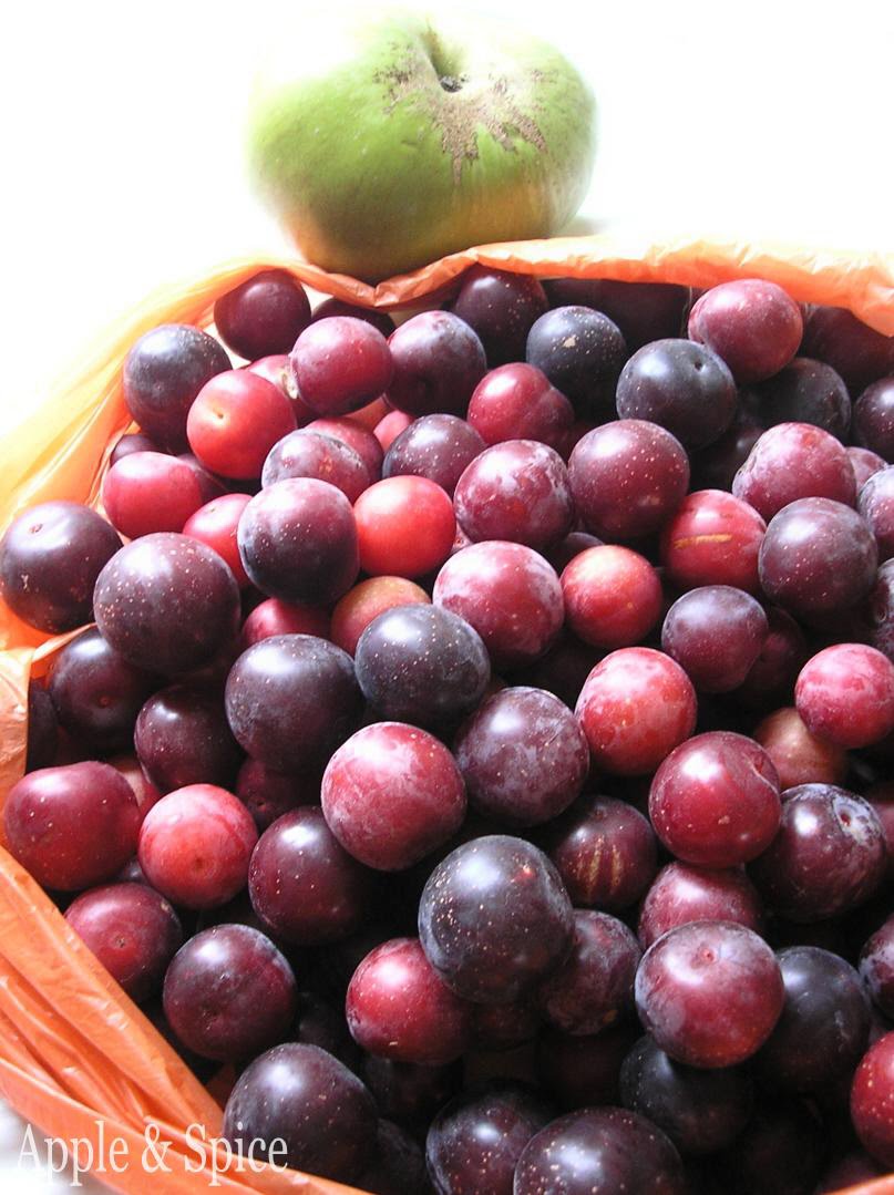 Apple & Spice: Spiced Plum & Apple Chutney