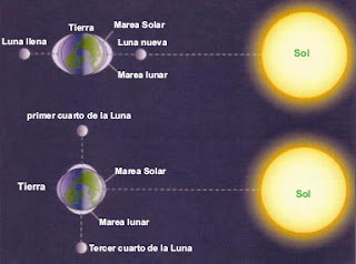 Las Mareas: Las Mareas