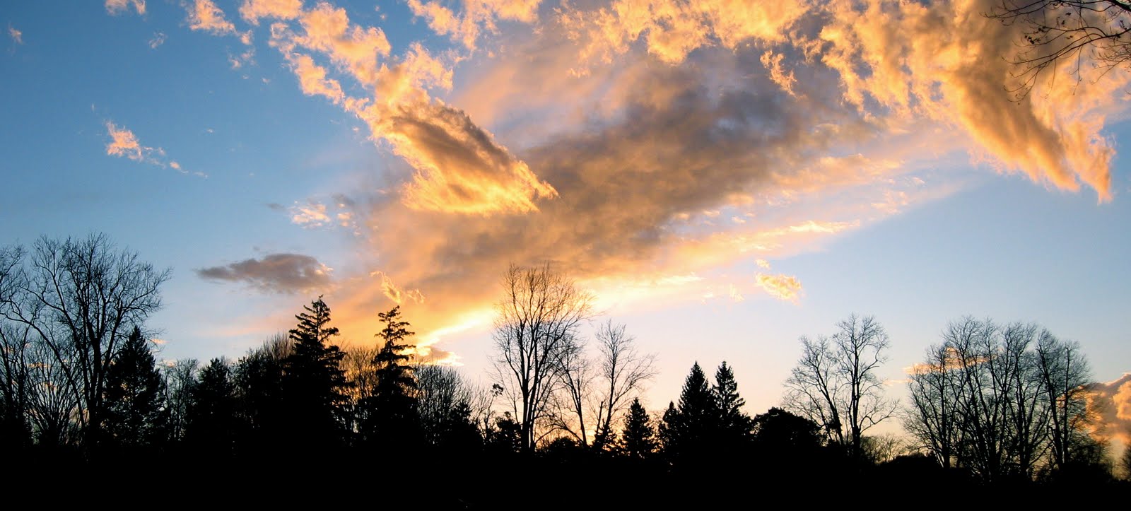 Sounds Like Canada: Springbank Park in the Fall