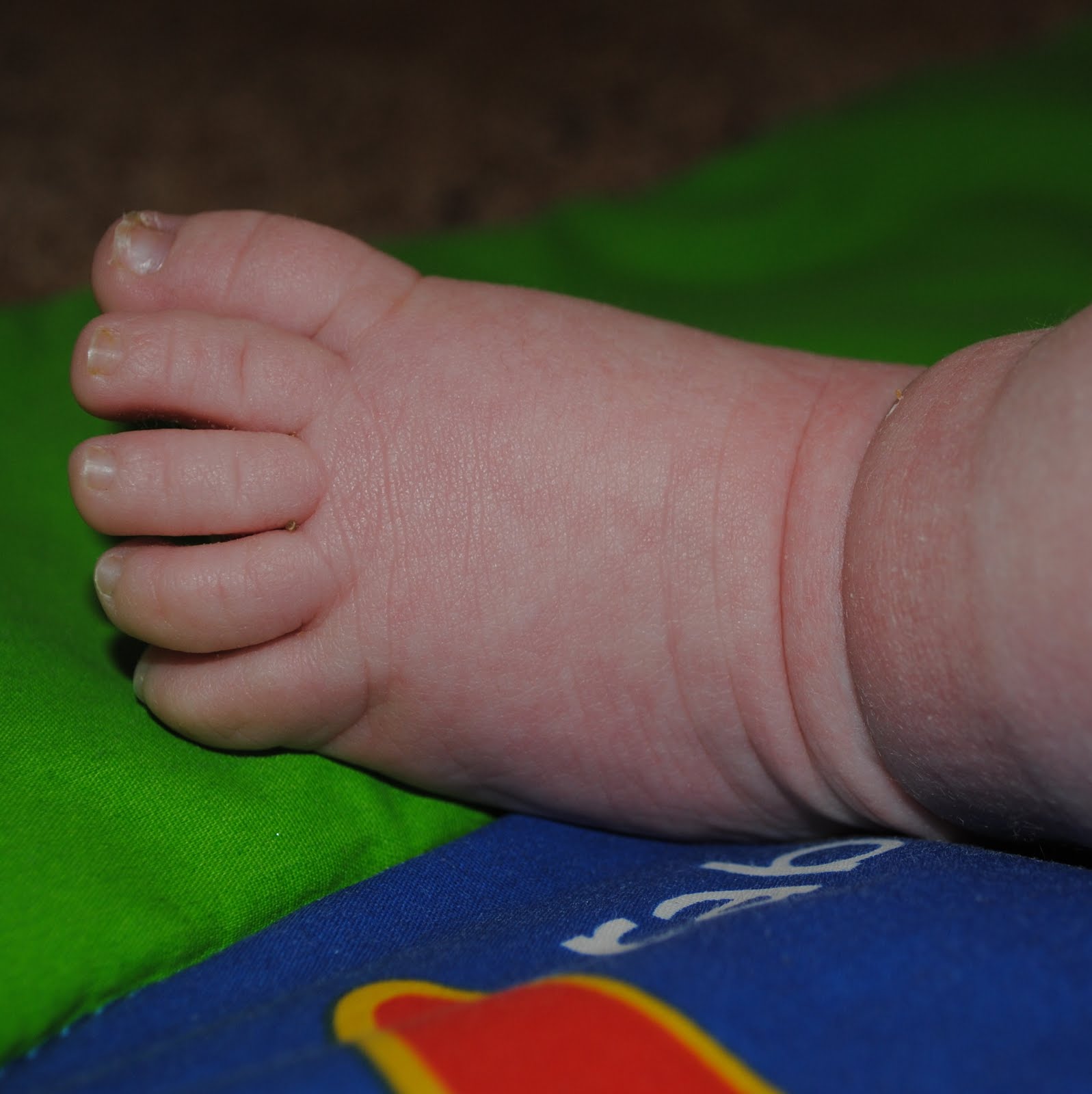 The Stain Family: Baby Buys: Edition 7 - Sock it to me.