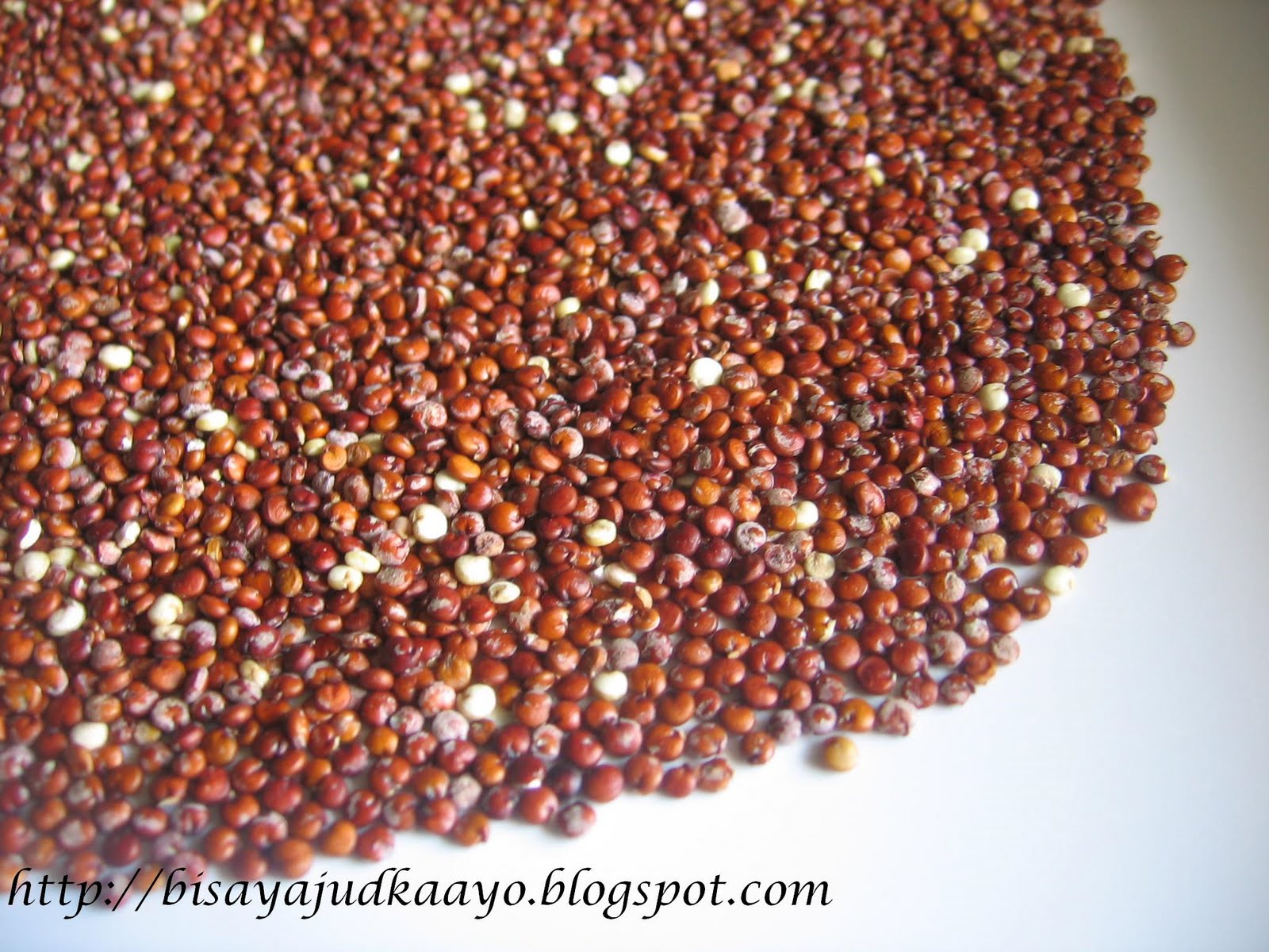 Inato lang Filipino Cuisine and More: RED QUINOA BARS