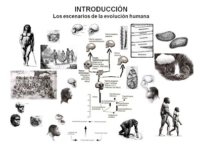 El Blog de Jesús A. Manzaneque: Evolución del ser humano - Introducción
