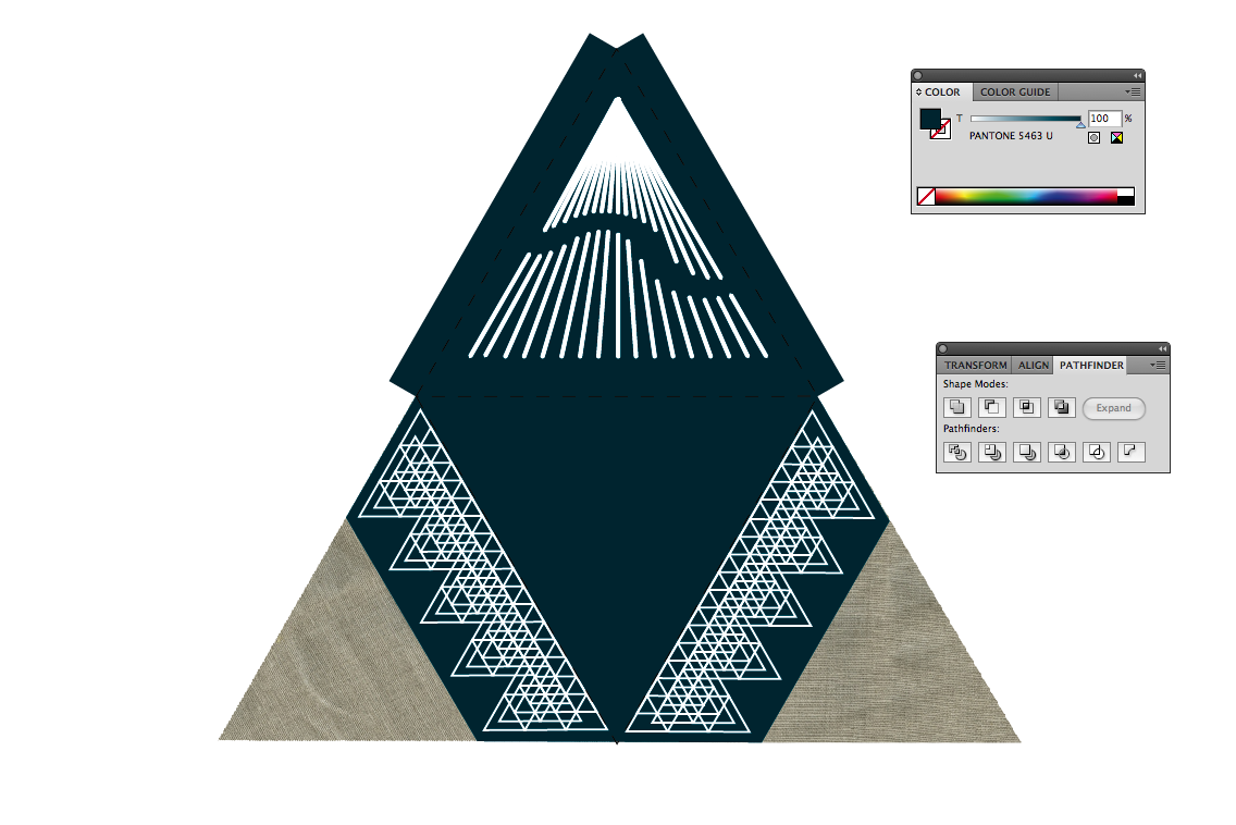 Design Practice: Nets on illustrator